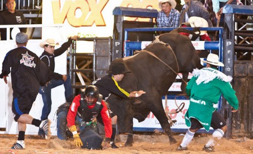Brahma Super Bull PBR - Portal de Rodeio 2024